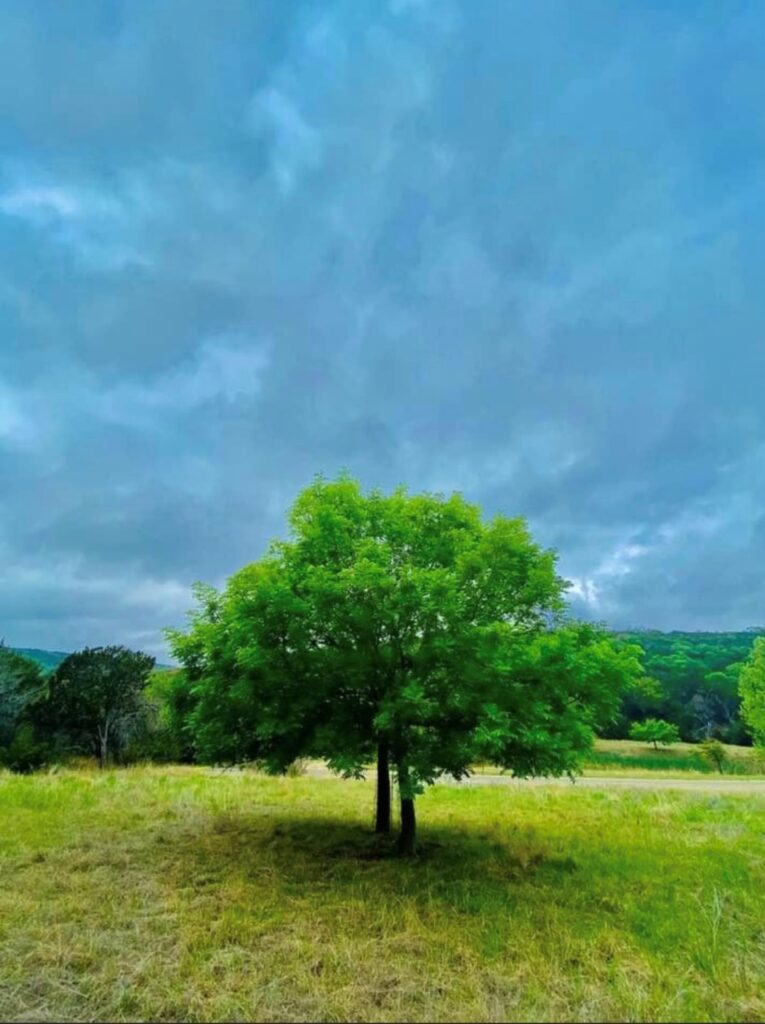 Sustainable Land Development Austin Texas, Los Angeles & Ojochal Costa Rica