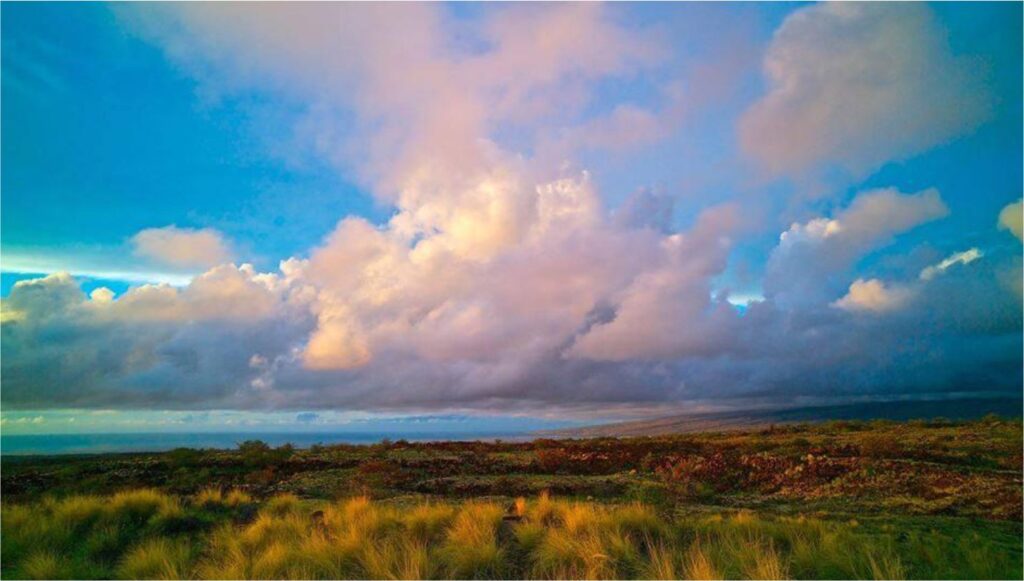 Sustainable Land Development Austin Texas, Los Angeles & Ojochal Costa Rica